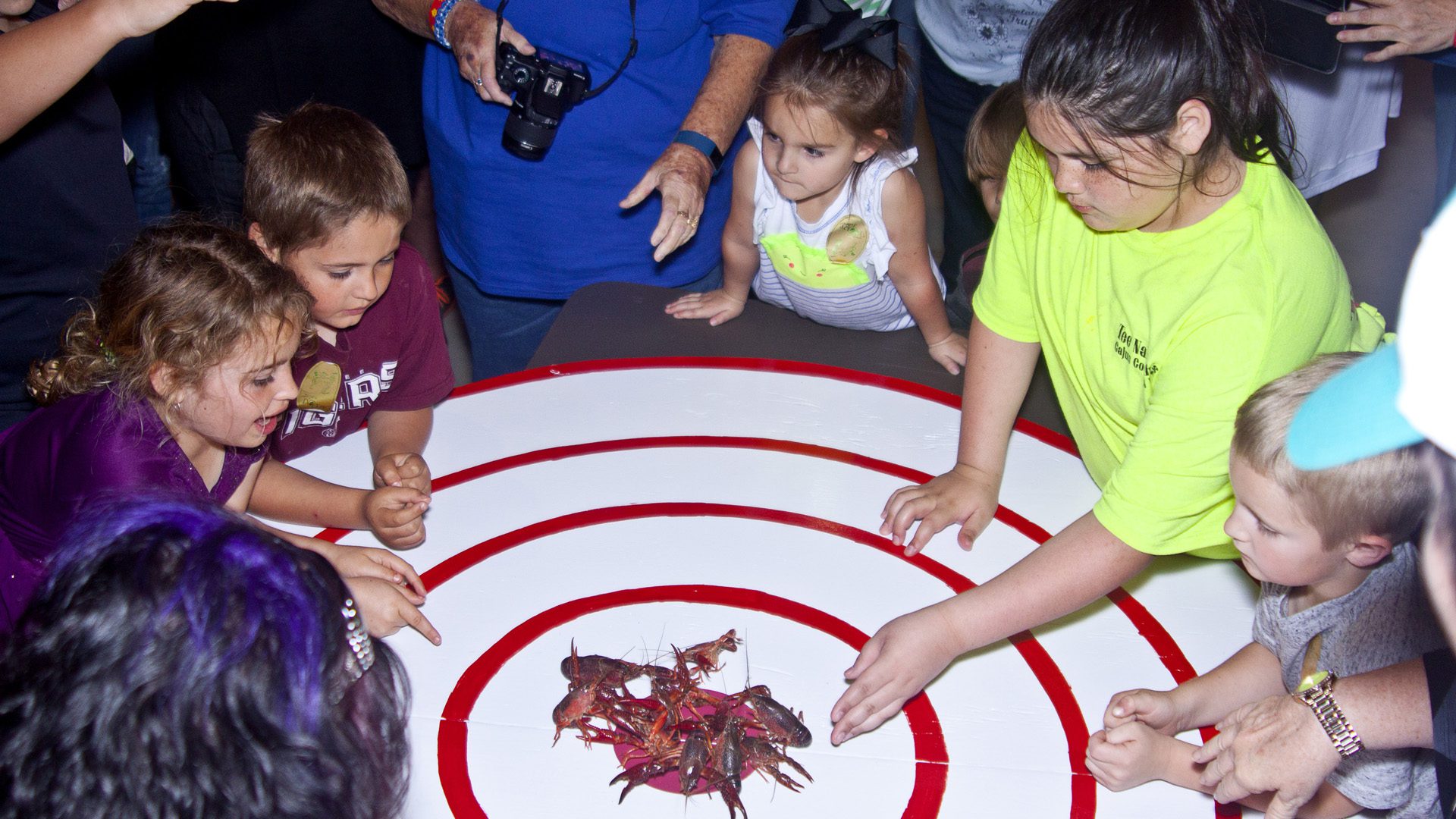 Cajun Heritage Fest 2025 - Visit Port Arthur Texas
