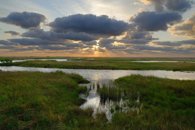 Home - Visit Port Arthur Texas